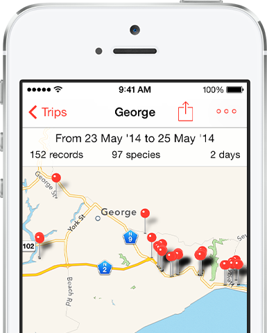 BirdLasser. Spot. Plot. Play a part