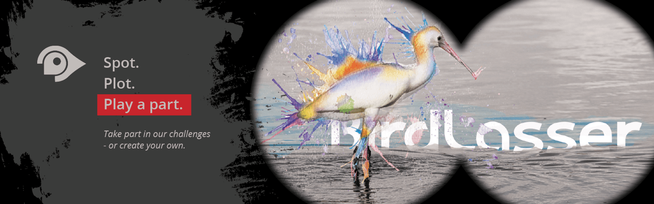 BirdLasser. Spot. Plot. Play a part